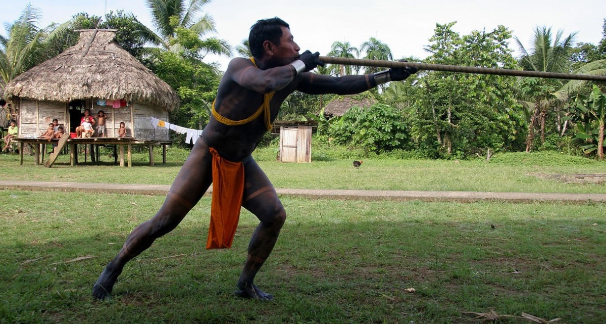 Curare: From Paralyzed to Anesthetized | Nature's Poisons