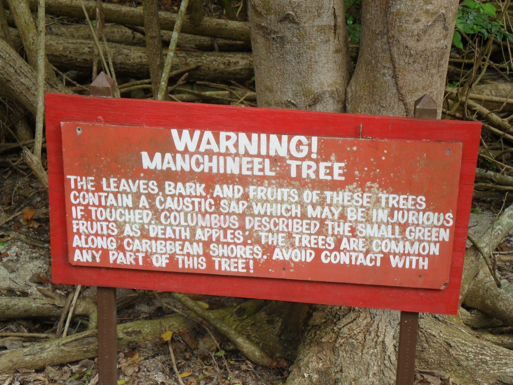 The Manchineel Tree, Proof That Mother Nature Hates Us | Nature's Poisons