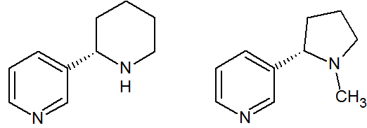Anabasis aphylla and Project CHATTER: A Secret CIA Cold War Poison ...