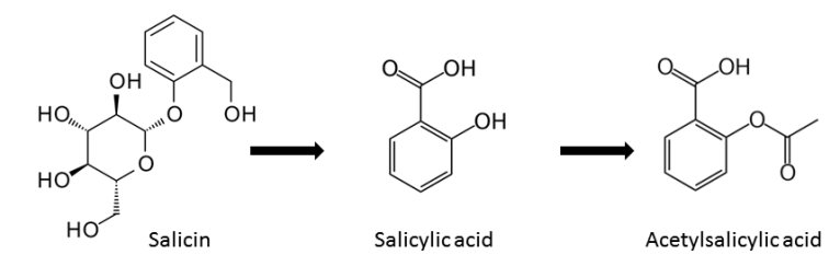 Salicylic Acid: The Journey From Humble Willow to Aspirin | Nature's ...