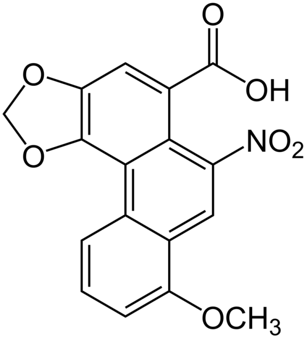 Wild Ginger: It’s Wild, Not Exactly Ginger, and Potentially Deadly ...