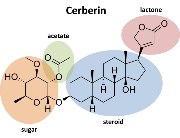 Cerberin: The Heartbreaker of the Suicide Tree | Nature's Poisons