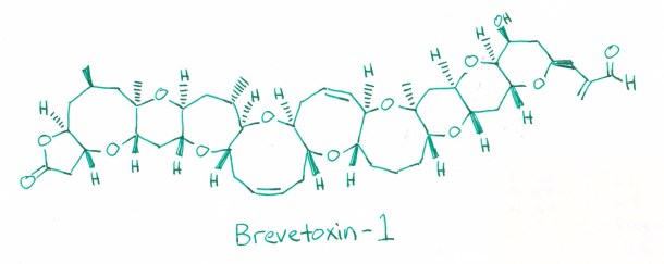 Brevetoxin: Weaponized Neurotoxic Shellfish Poisoning | Nature's Poisons